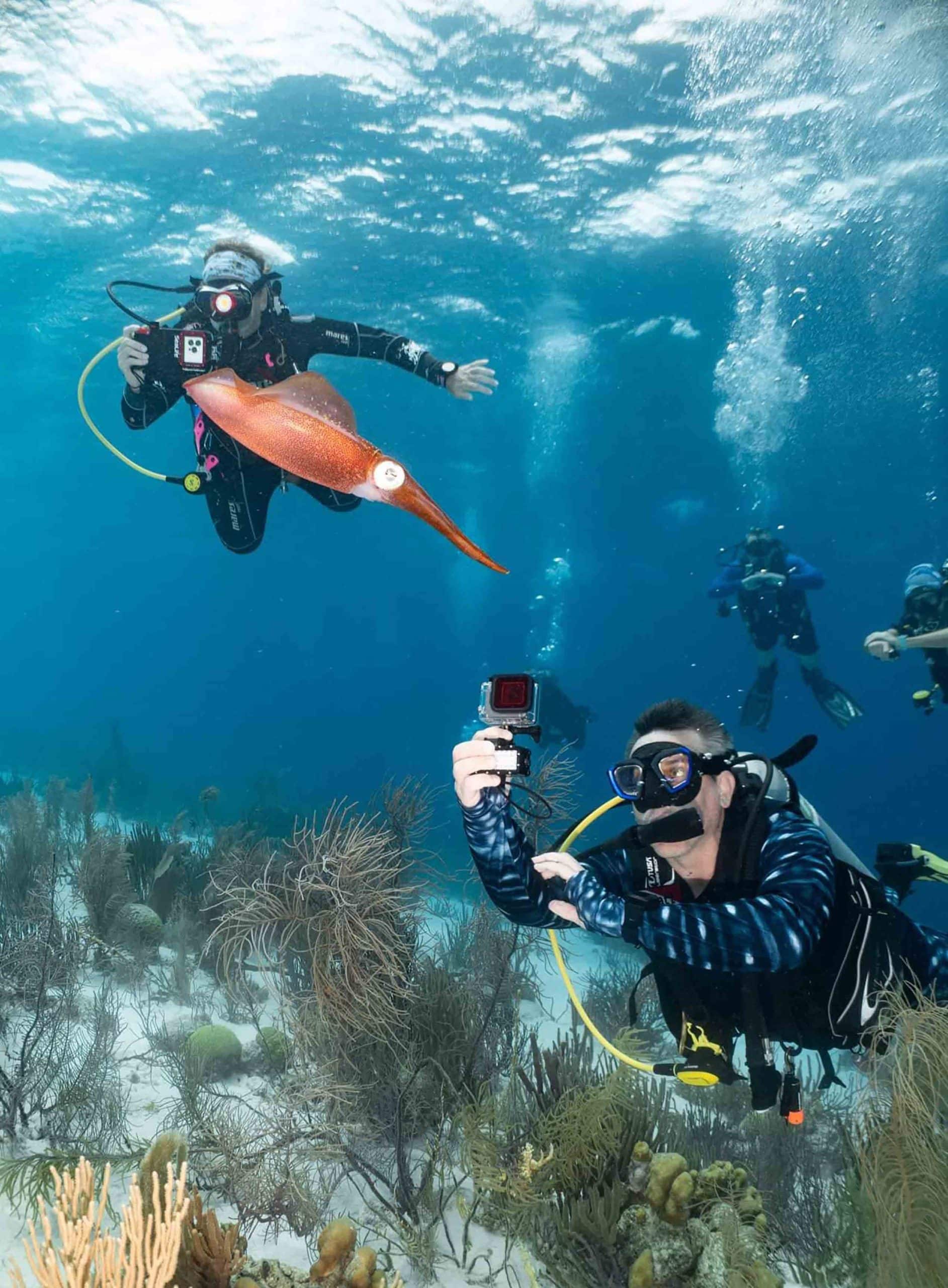 Blue Horizon Diving | Epic Dive Trips Around The Globe